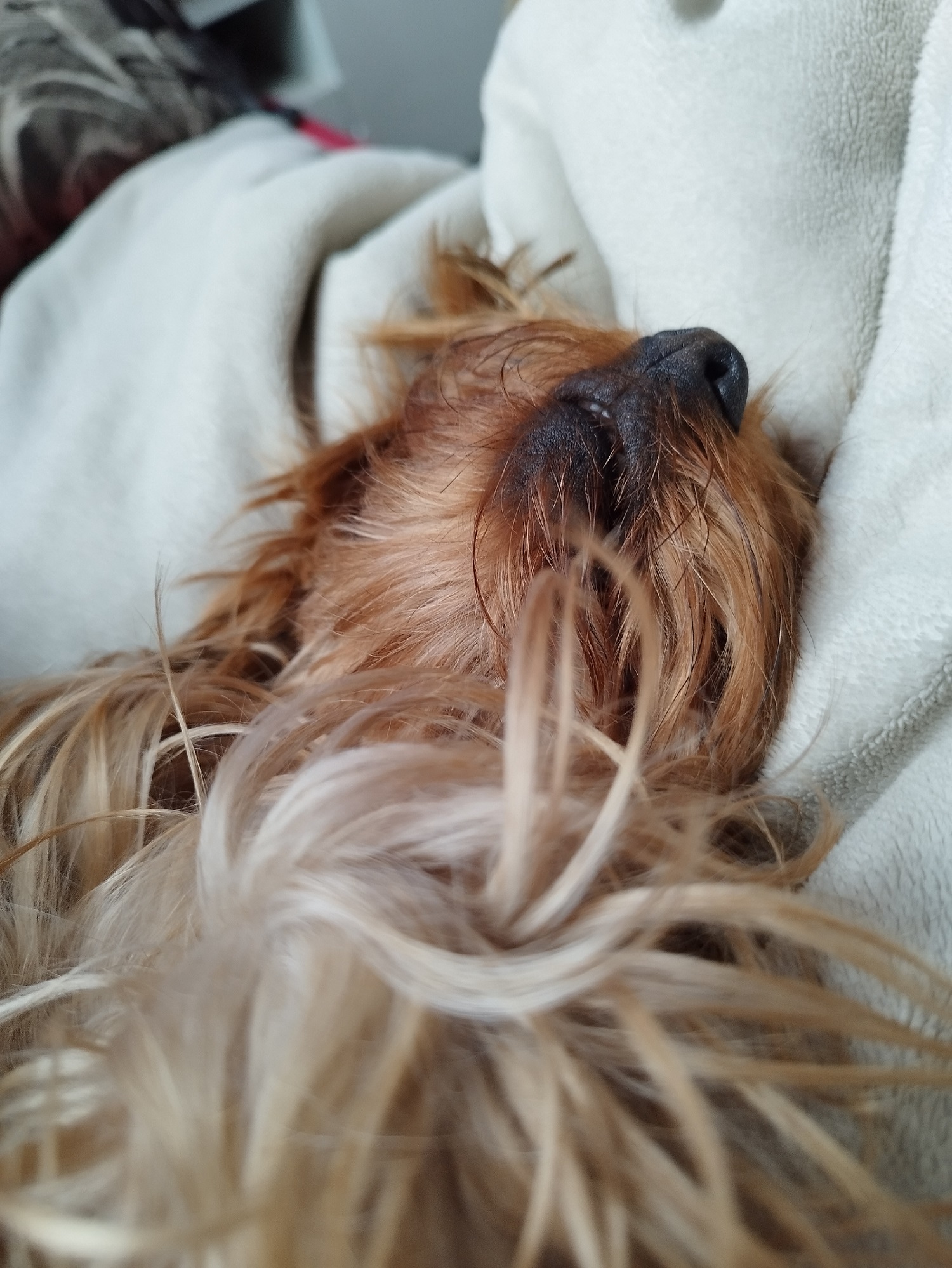 Первый день зимы - не будите до весны!