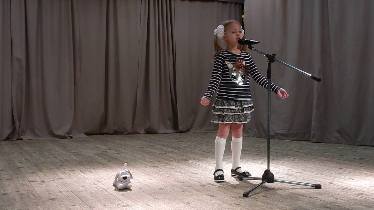 Борис Заходер   СОБАЧКИНЫ ОГОРЧЕНИЯ