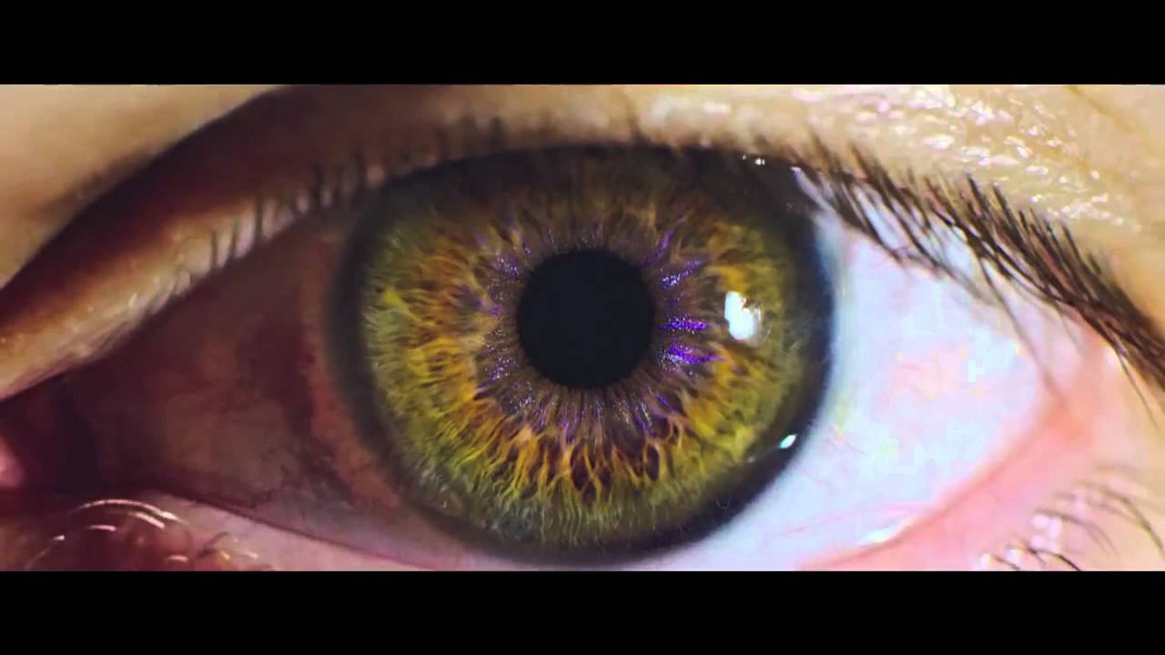 Сноуден 2016 русский трейлер М Чадов