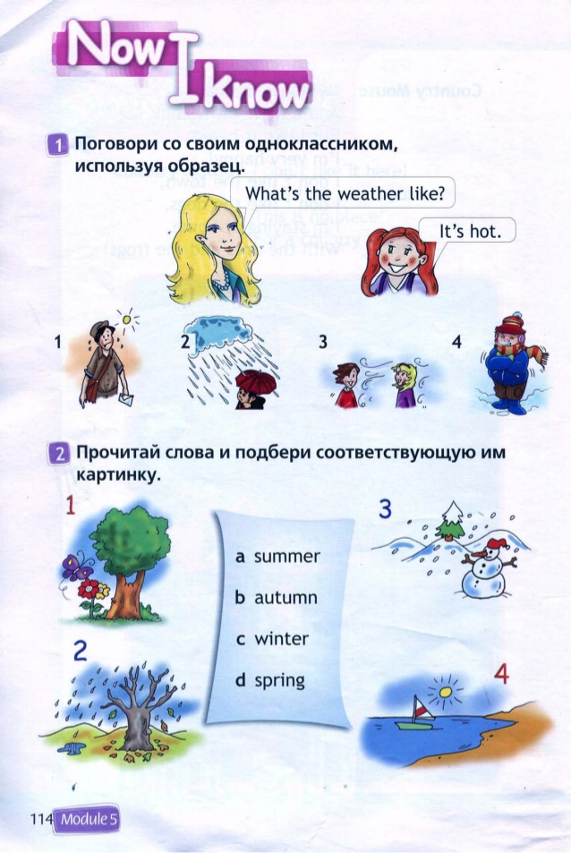 Учебник Спотлайт Быкова 2 класс стр. 114-115.(старая версия)Новый учебник 2 часть стр.56-57.