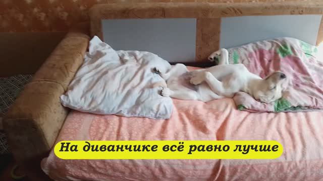 На диванчике всё равно лучше