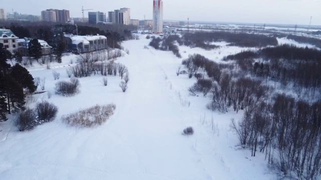 Квадрокоптер, лес, река и лошади.mp4