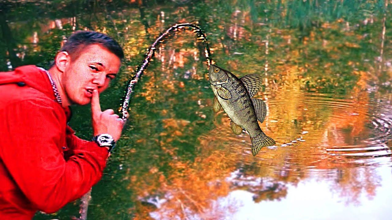 ЛАЙФХАКИ для ВЫЖИВАНИЯ в ЛЕСУ Ч.5. Ловим рыбу, лечим простуду.