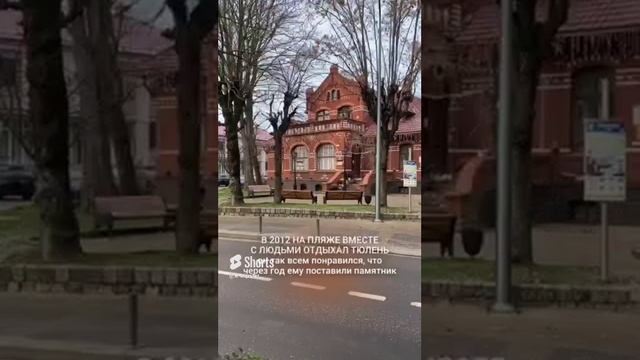 Интересные места Зеленоградскa путешествия  #е-трипстер #калининград . сайт е-трипстер