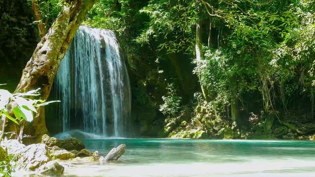 Relax music to calm down Релакс музыка для успокоения