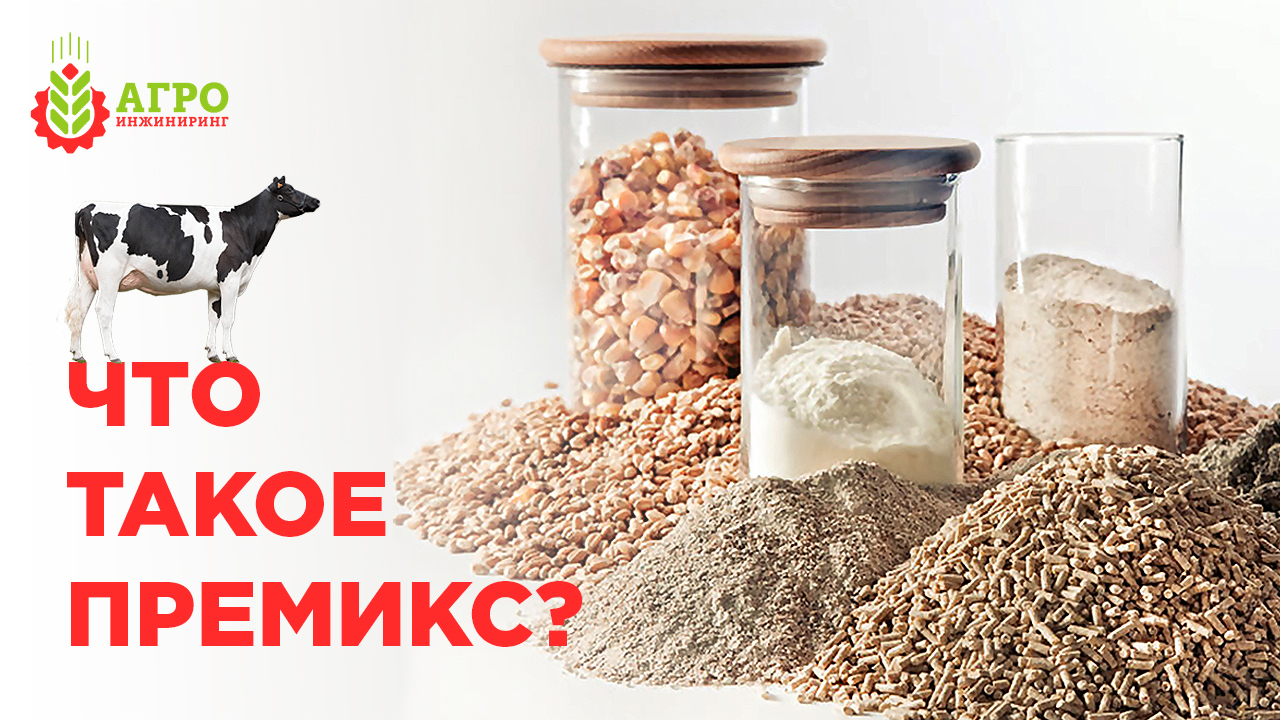 Что такое премикс и зачем он нужен в животноводстве.