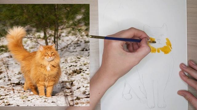 Этюд кошки.mp4