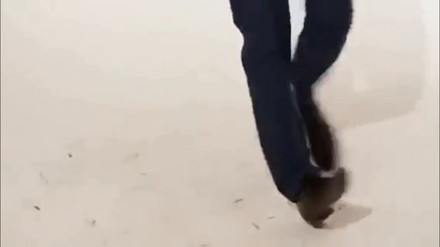 Выбери свой стиль. Покори её