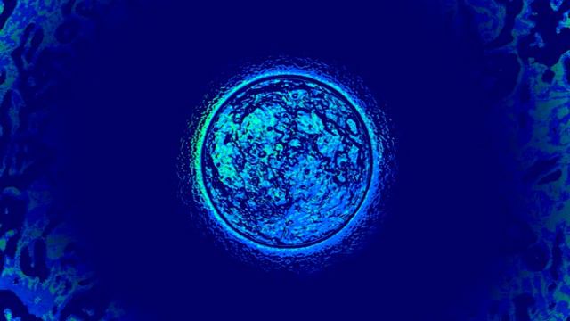 СЛОНЫ! - Спокойной ночи в спальном районе