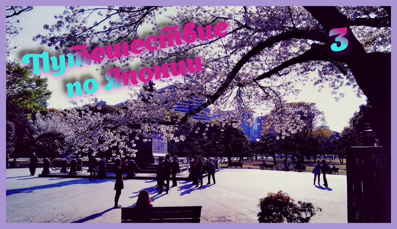 Сид и Макс +100500 / Путешествие по Японии | День 3 [Moran Day 83]