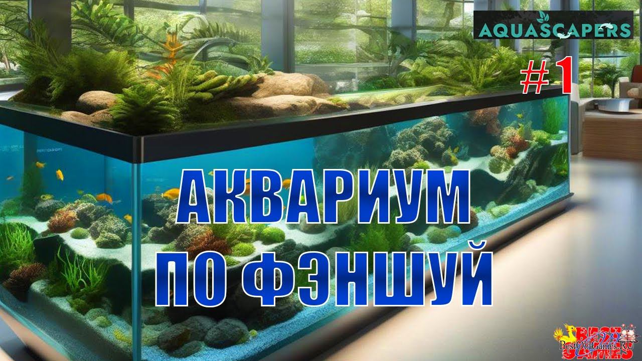 Aquascapers - Аквариум по фэншуй