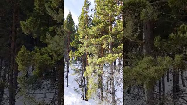 Каракол Горнолыжный курорт