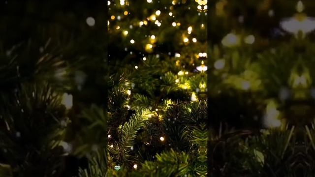 Хорошего зимнего утра!