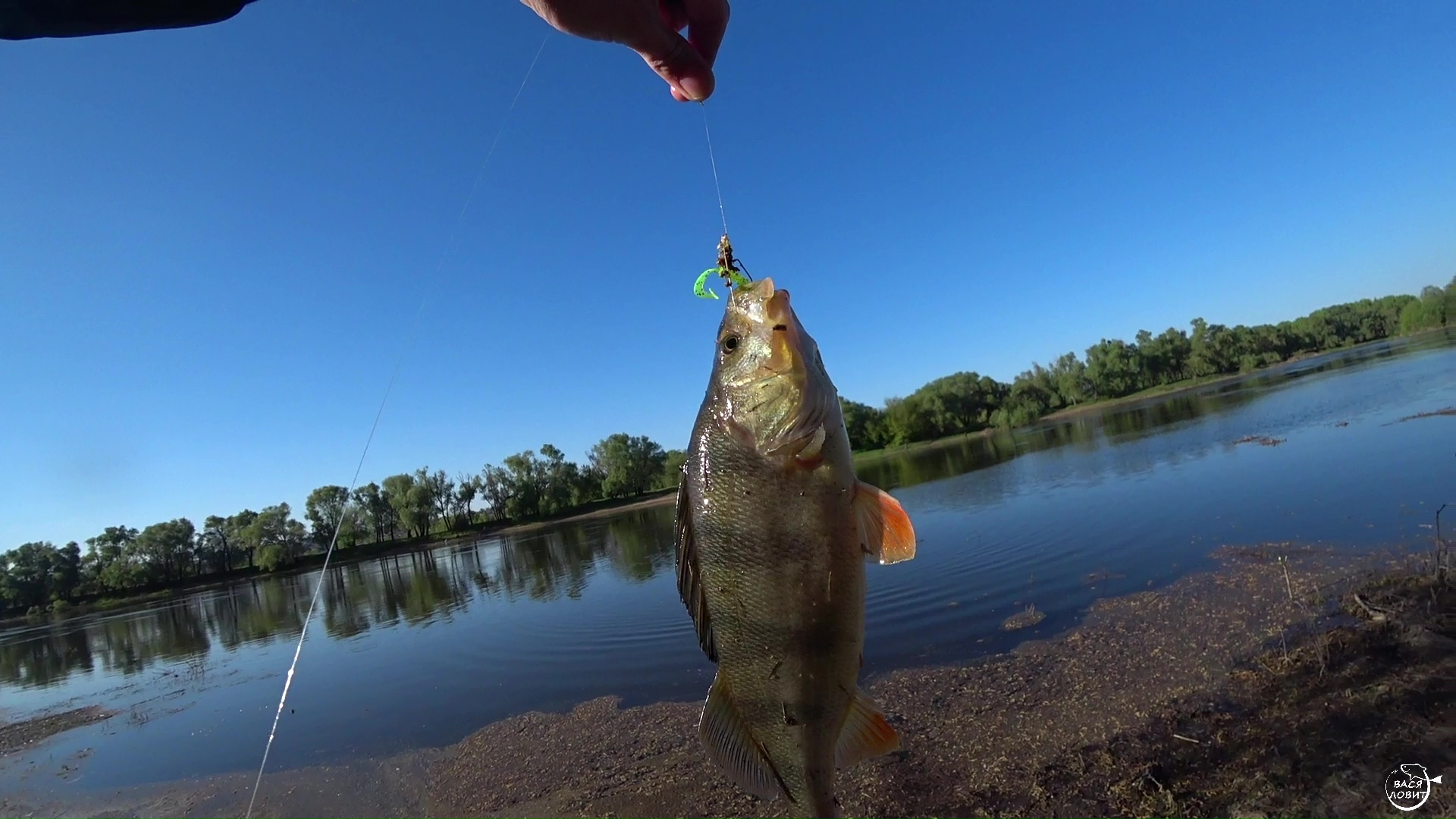 Два часа на всё про всё. ОКУНЬ, СУДАК на отводной р.Дон (08.05.2022)