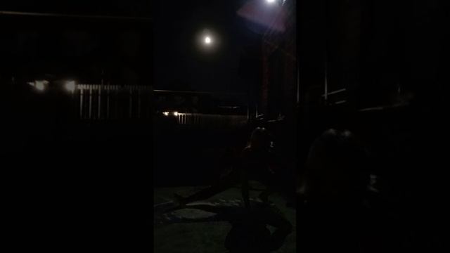 Чандра Намаскар (Приветствие Луне) в Суперлуние