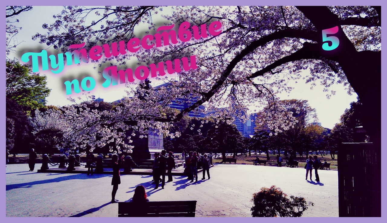 Сид и Макс +100500 / Путешествие по Японии | День 5 [Moran Day 85]