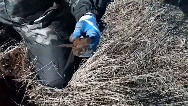 Отдых с металлоискателем.mp4