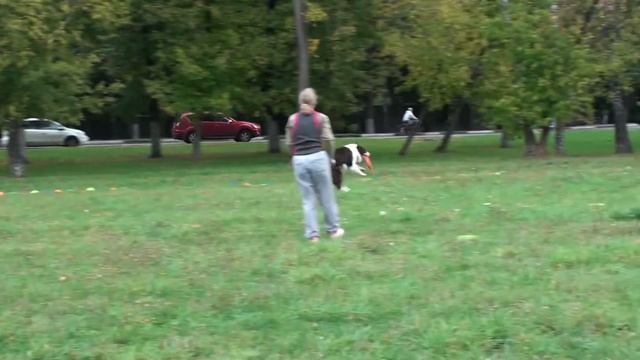 Чемпионат России Фристайл Маша и Лайф.mp4