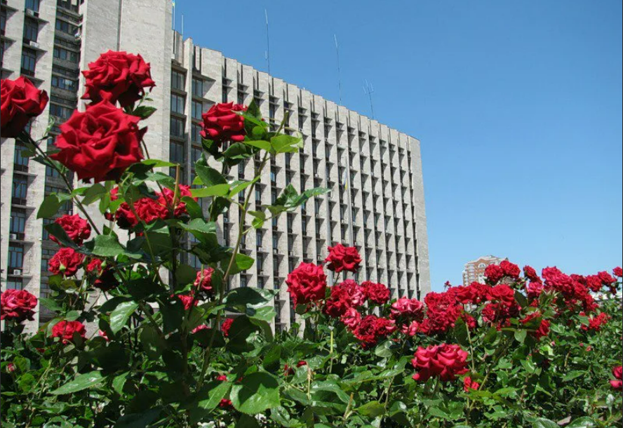 Мой Донецк, Моя Боль... Автор текста  Ирина Вязовая-Быковская.