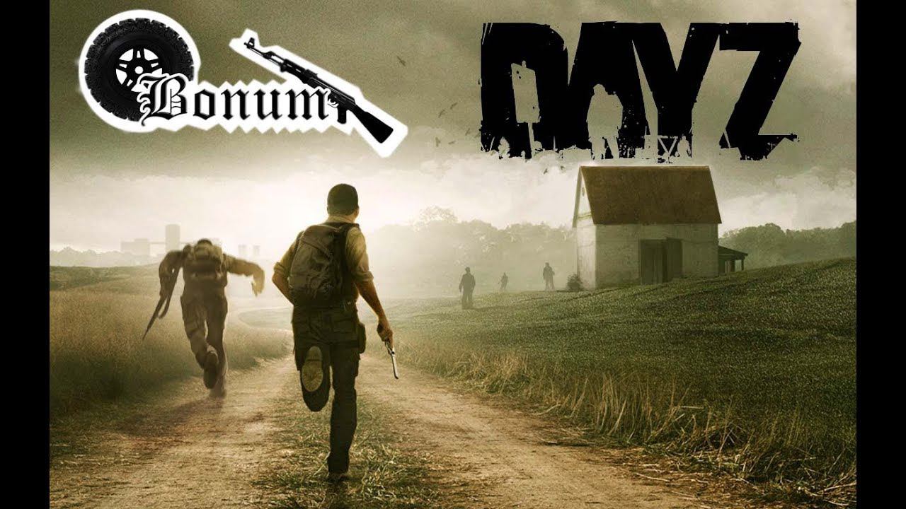 Новички в DayZ