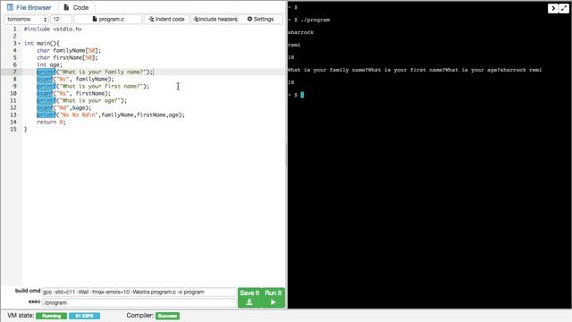 Interactive programs in C using scanf, fflush