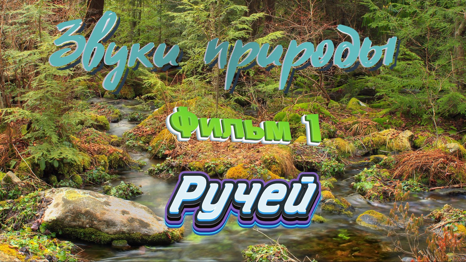 Звуки природы. Фильм 1. Ручей Sounds of Nature. Movie 1. Brook