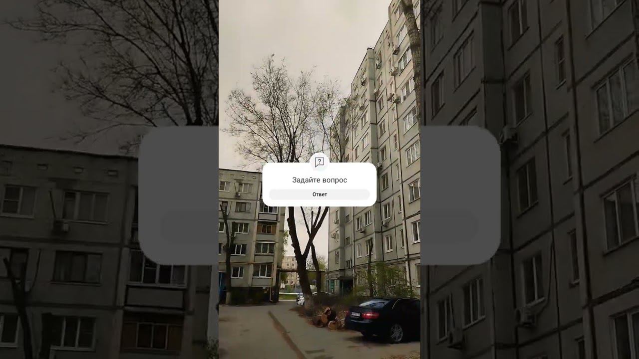 Волгоградские тополя великаны