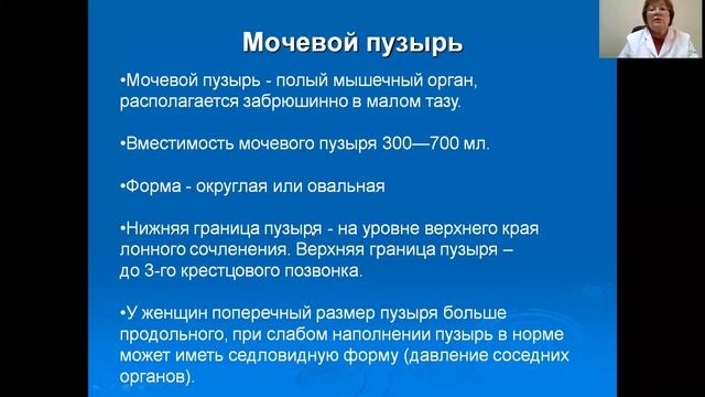 Рентгеноанатомия и физиология мочевой системы.mp4