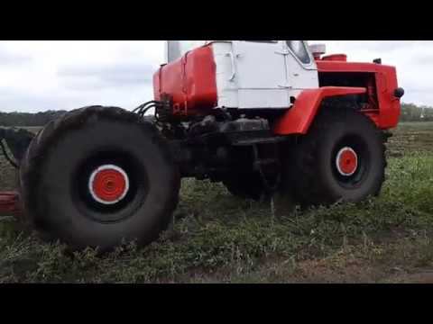 Дискование арбуза