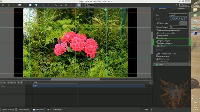 PTE AV Studio 10 Pro — Часть 4 — Свойства изображений и видео.mp4