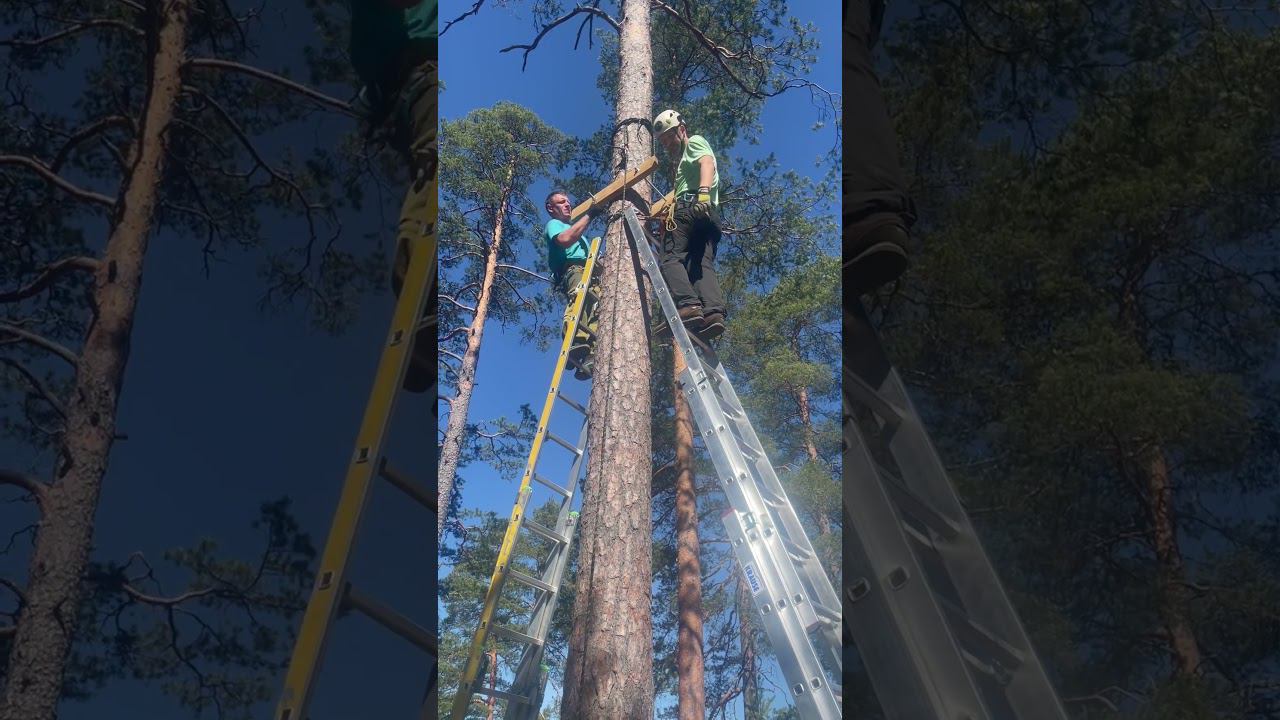 Монтируем троллей для фестиваля #крепкийорешек #фестиваль #турслет