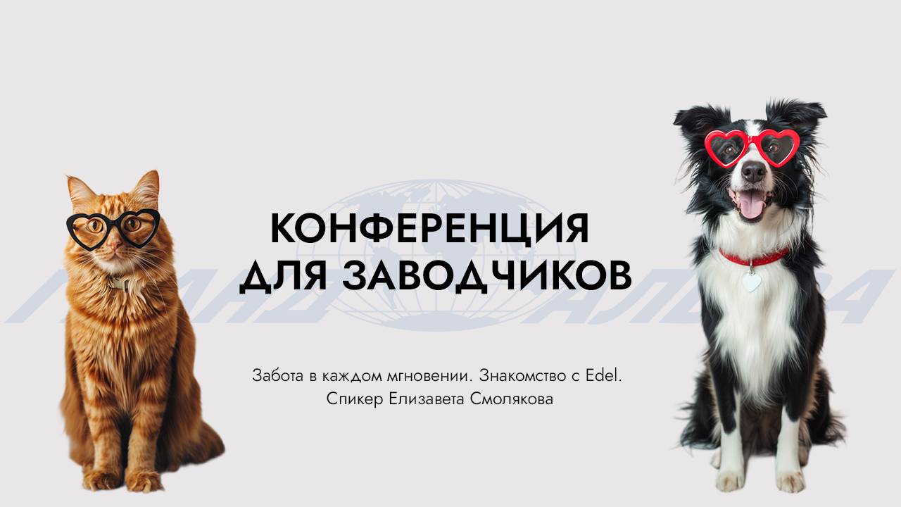 Спикер – Елизавета Смолякова, конференция для заводчиков 27.04.2024