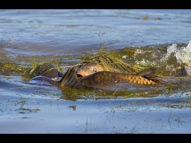 Нашли Хорошее Рыбное Места - Рыбалка в Дагестане