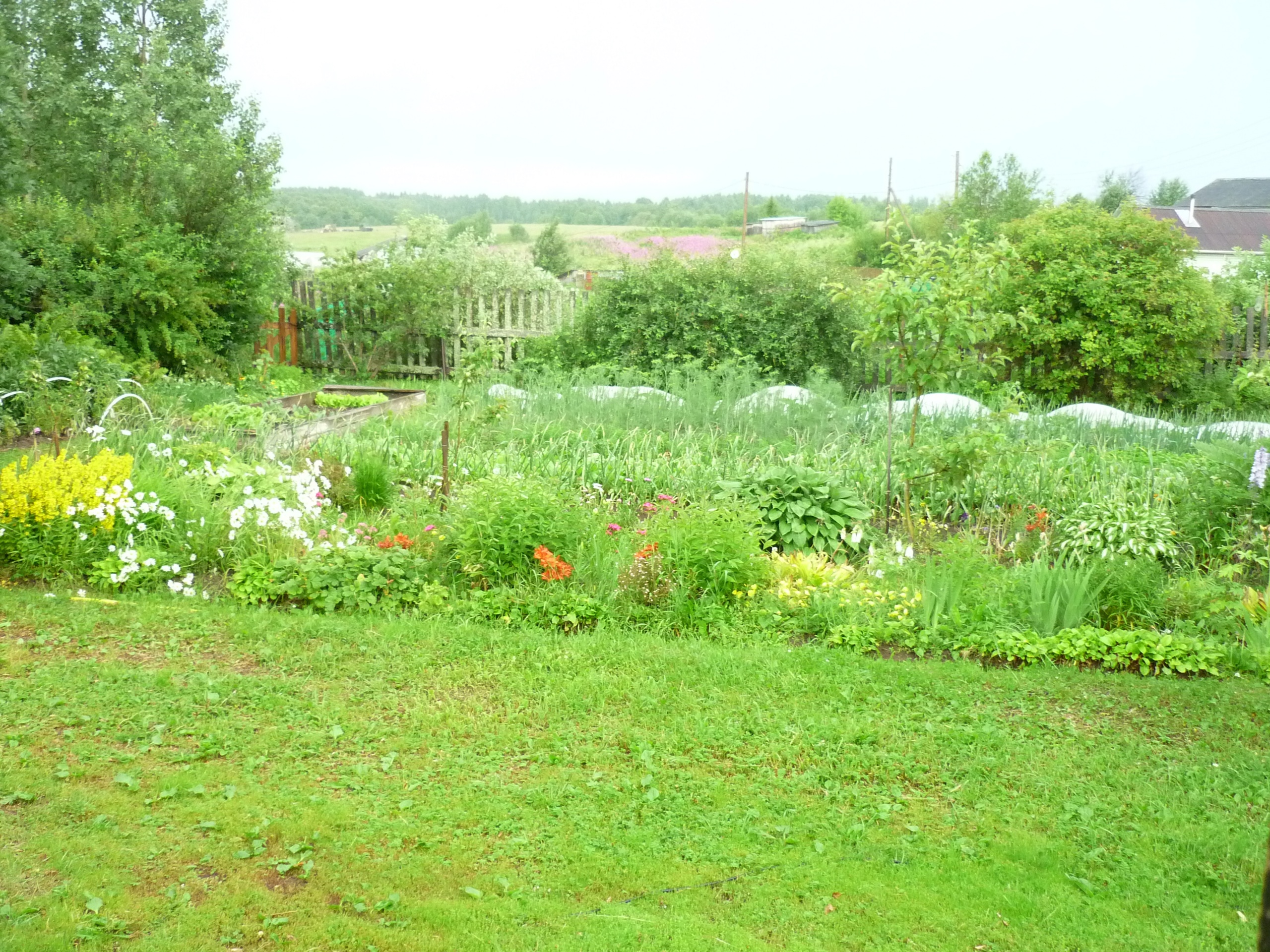 "ДАЧНЫЕ РАДОСТИ"... (Фото Ольги Репищной (Архангельск), музыка - Джаз-Ансамбль "Балалайка")