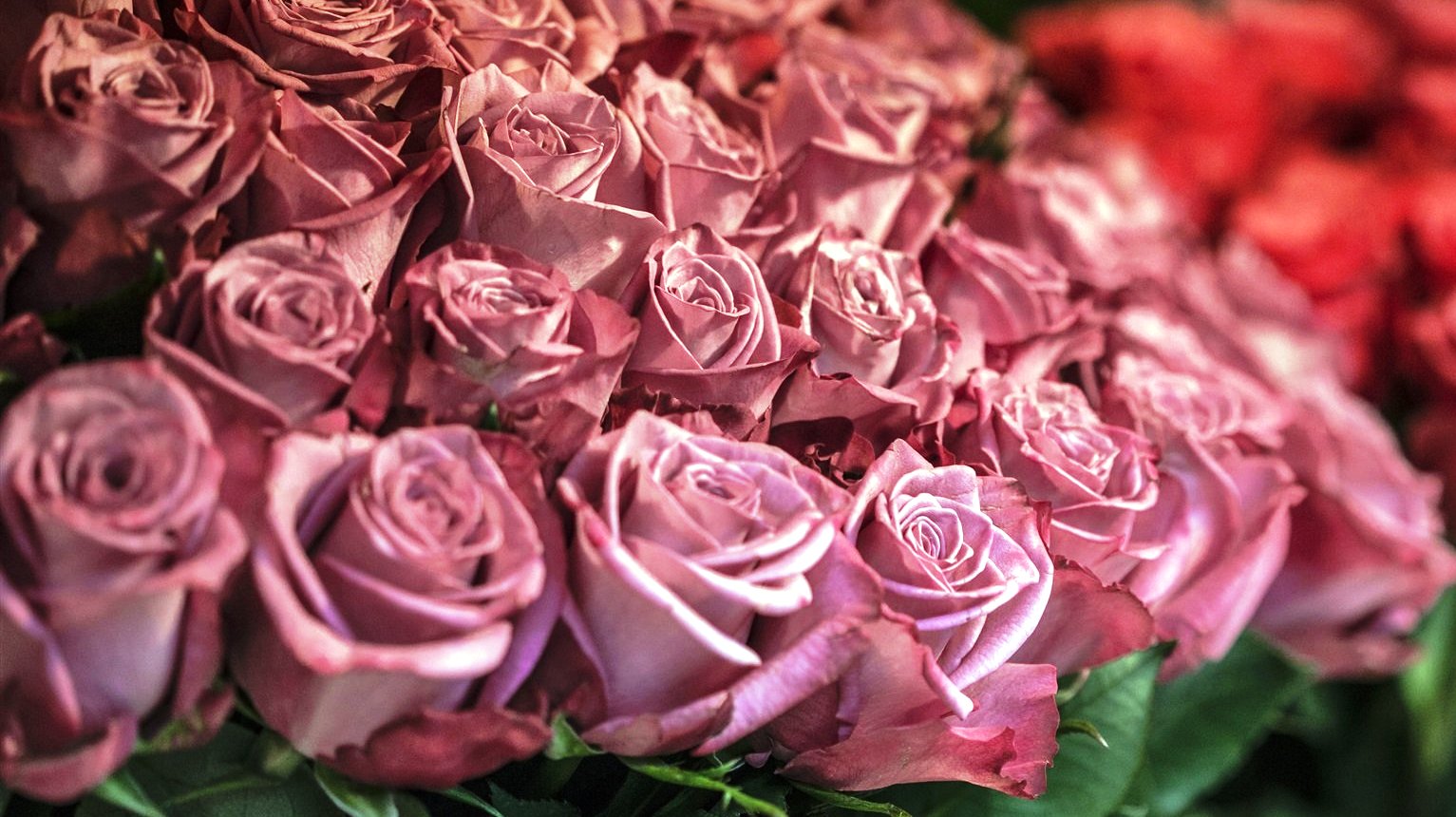 Ф  Крейслер.Радость Любви.