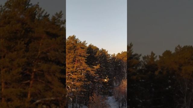 Когда ты за здоровый образ жизни, а твои соседи нет ?