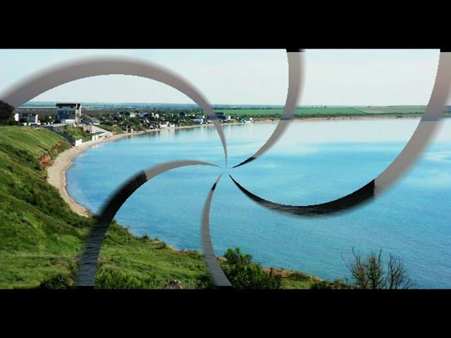 голубка Роб