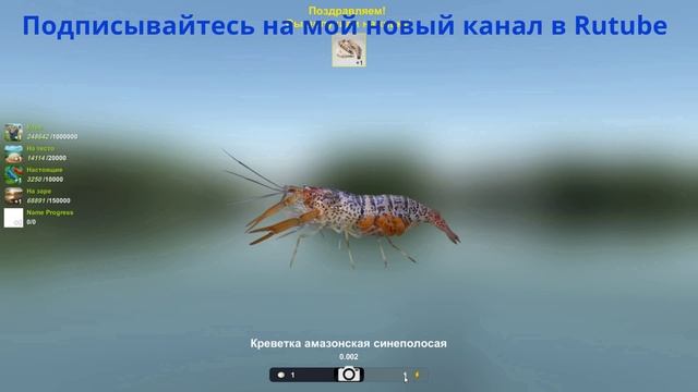 Креветка амазонская синеполосая, место отлова в игре Трофейная рыбалка 2