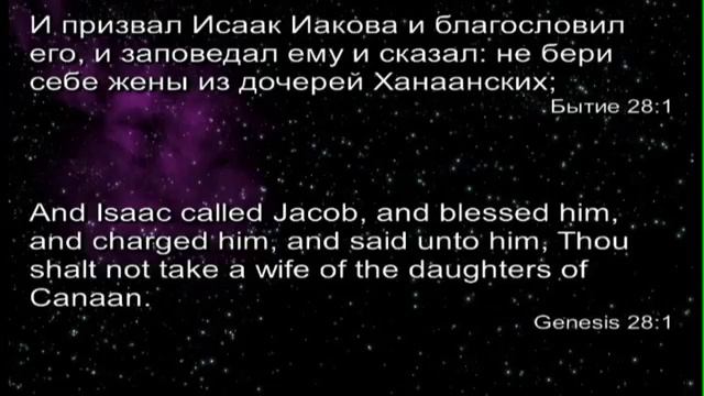 5.Если бы любовь Анатомия конфликта. Лекция Виталия Олийника..mp4