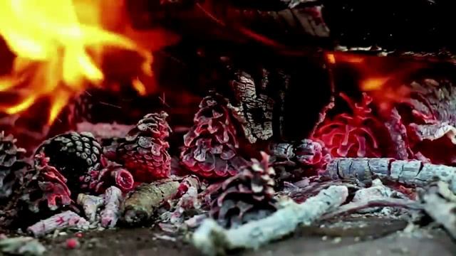 ДЕРЕВНЯ ОБОРОТНЕЙ. Рассказ геолога. Страшные истории про деревню. Сибирская жуть.