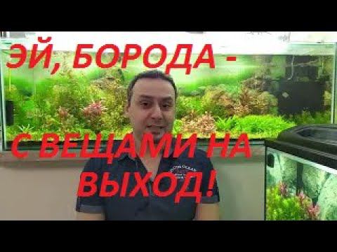 Аквариумы без бороды.  Вторая точка над Ё. Комментарии и ответы. (Архив от 4.01.2022)