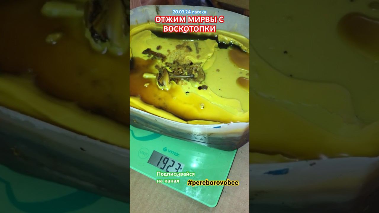 Отжим ВОСКА ПРЕСОМ! | ПЧЕЛОВОДСТВО! #pereborovobee #пчеловодство #пасека #улей #воск #матковод #мёд