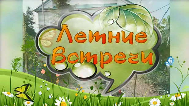 Летние встречи