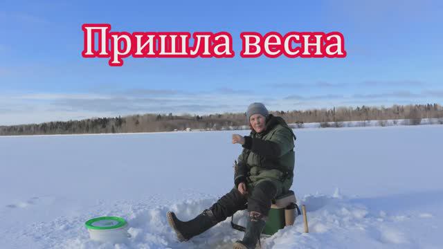Пришла календарная весна. Ловим на зимнюю удочку.