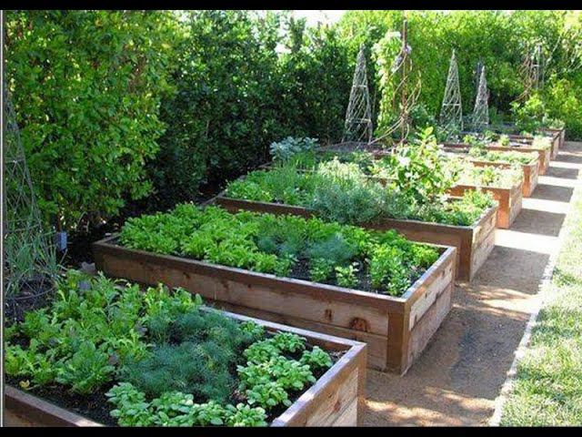 Заготовки зелени на зиму