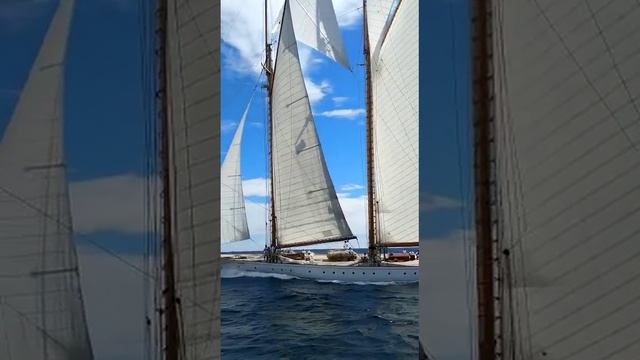 История и классика - Регата Royales_Banque Populaire Méditerranée