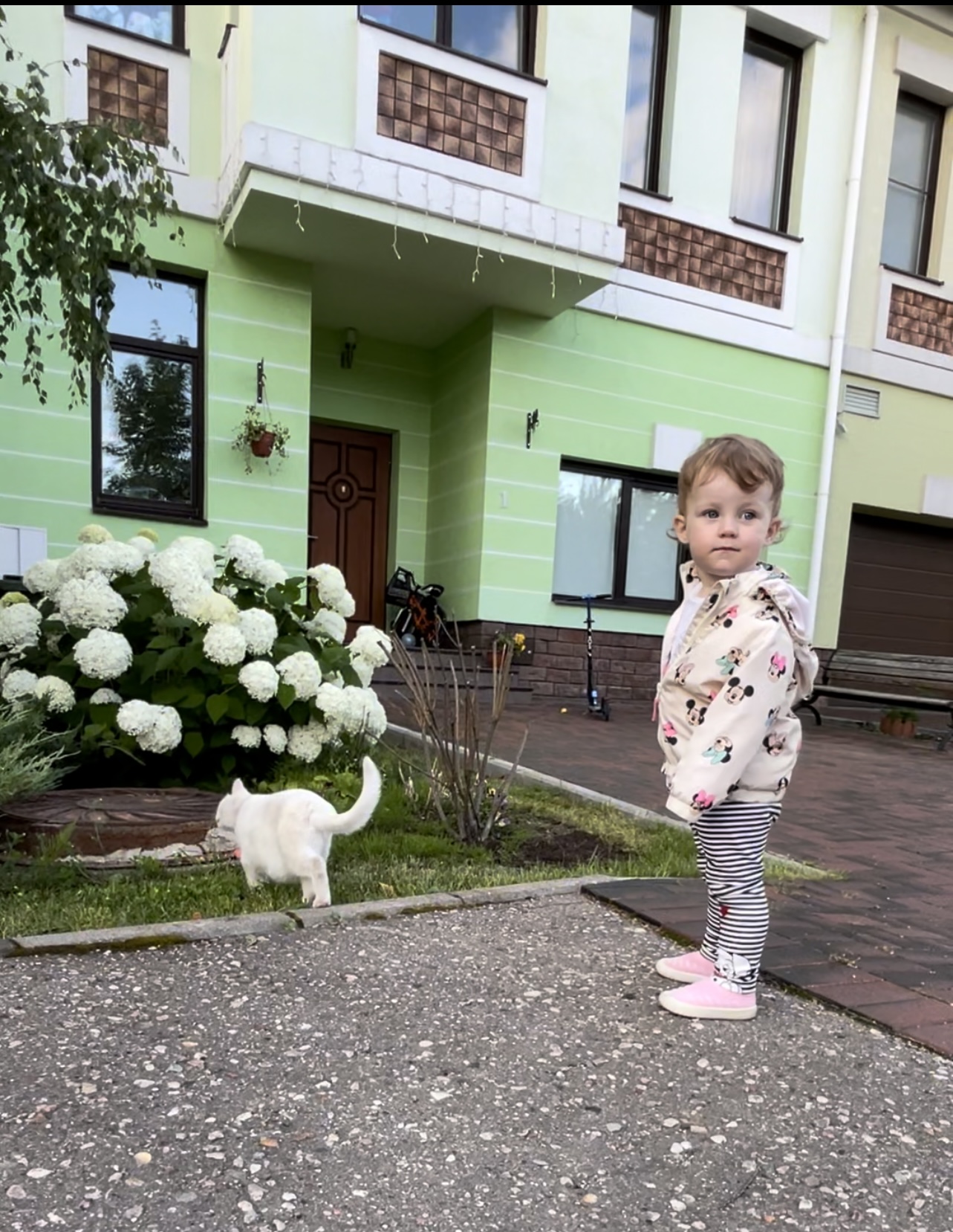 Ева и котик 🐈🐈🐈🐈🐈🐈🐈