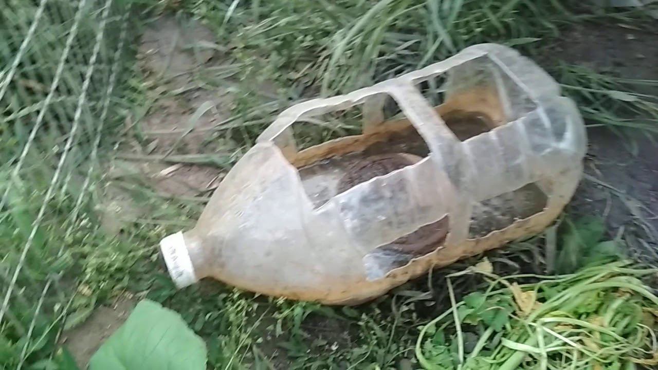 Поилка для птицы из пластиковой бутылки//Клетка для утят//утята на улице