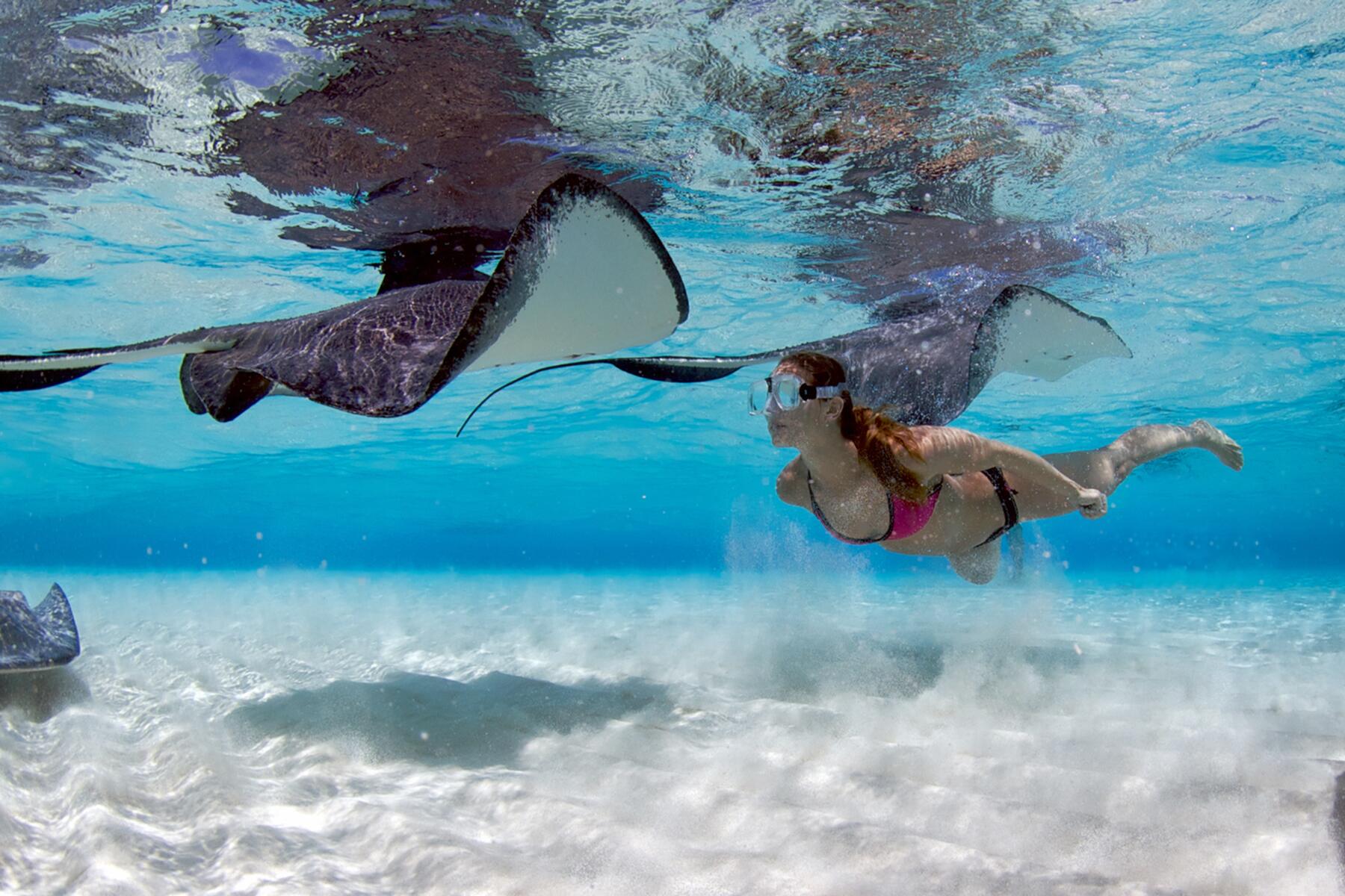 Каймановы острова ИМПРОВИЗАЦИЯ композитор Виктор Анохин #instrumentalmusic #rhumba #viktorjazz