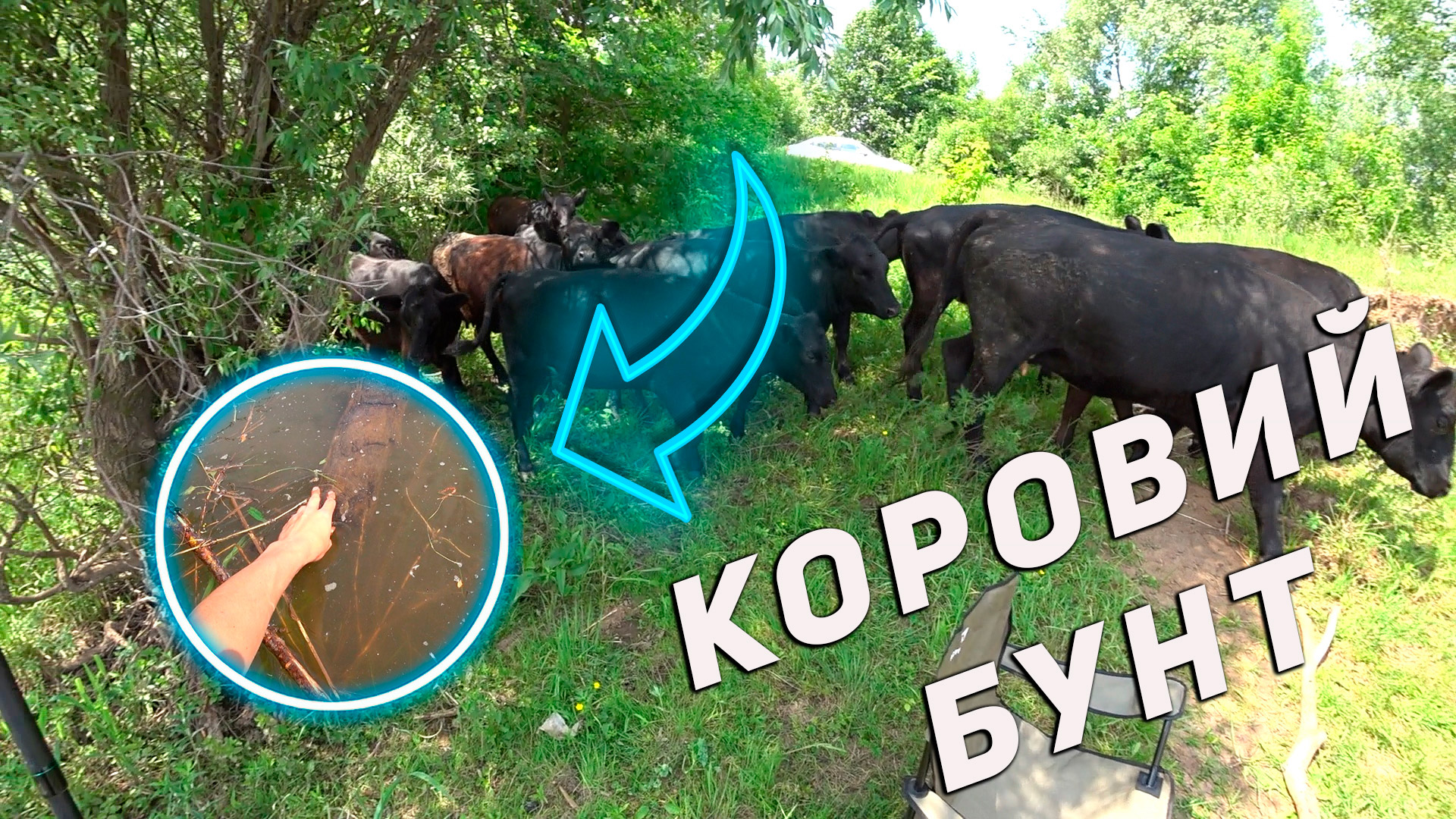 Рыбалка на Каме летом в грозу. Ловля плотвы. Ловля на фидер.